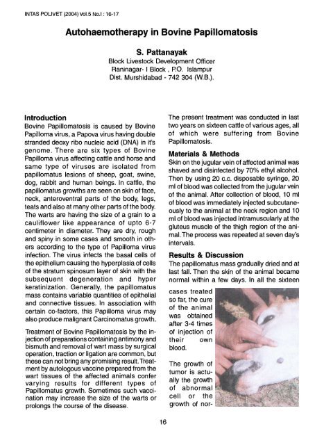 Autohemotherapy in Bovine Papillomatosis.pdf