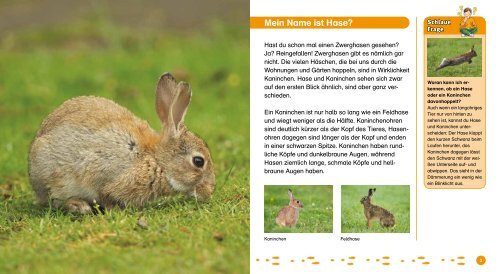 Mein Name ist Hase? - Hase und Igel