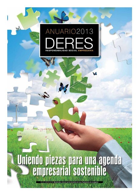 Suplemento RSE 11/2013 DERES