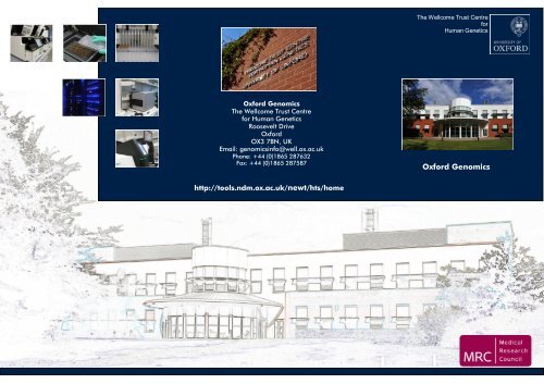 Brochure 1.pdf - Wellcome Trust Centre for Human Genetics