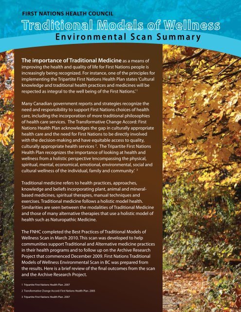 Traditional Medicines Scan Summmary - First Nations Health Council
