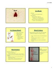 blood spatter worksheets