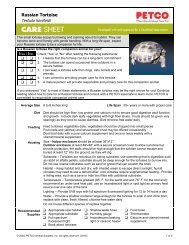ball python care sheet - Petco