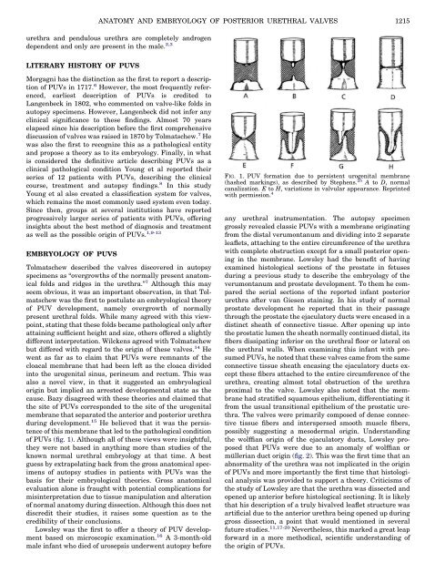 ANATOMY AND EMBRYOLOGY OF
