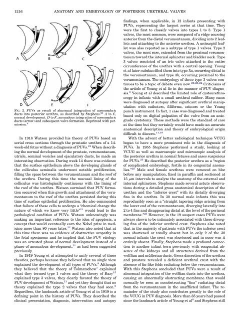 ANATOMY AND EMBRYOLOGY OF