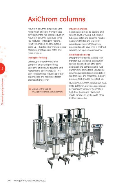 AxiChrom columns 5 Chroma