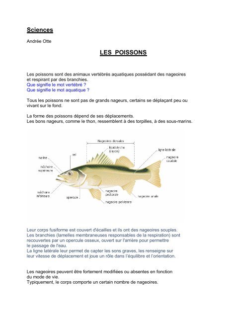 Sciences Les poissons - Professeur Phifix