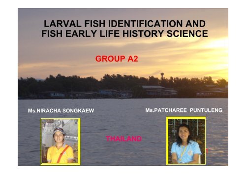 Identification of Larval and Juvenile Fish of the Upper Gulf of Thailand