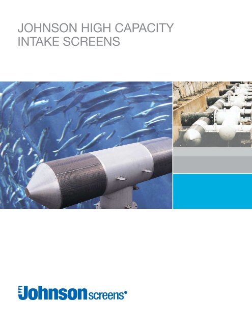 JOHNSON HIGH CAPACITY INTAKE SCREENS - Johnson Screens