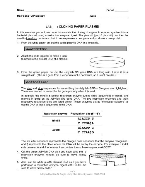 Cloning a Paper Plasmid - Explore Biology