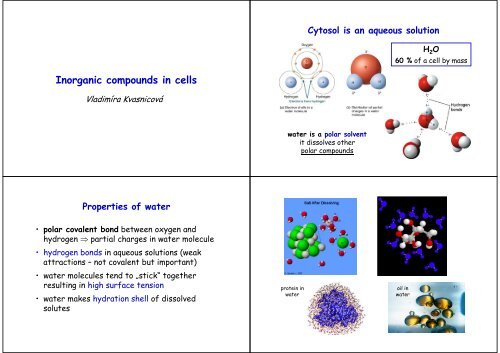 Inorganic compounds in cells