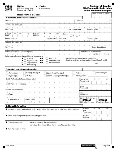 Initial Assessment Report - wsib