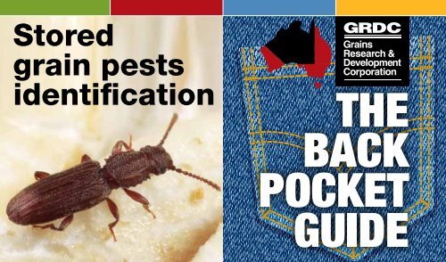 Grain Storage Fact Sheet Stored Grain Pests