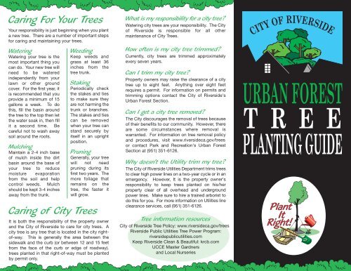 Tree Planting Guide insert - City of Riverside