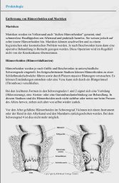 Beschneidungen/Vorhautverengung (Phimose, Paraphimose)
