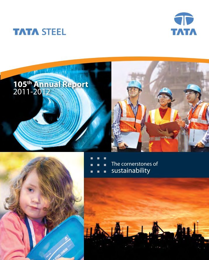 Notes on Balance Sheet & Profit and Loss Account - Tata Steel