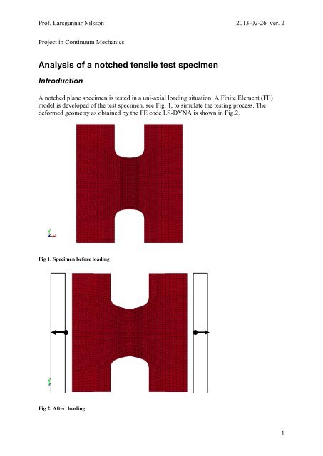 Project 2013 - Division of Solid Mechanics