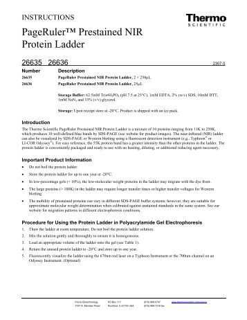 PageRuler™ Broad Range Unstained Protein Ladder - Pierce