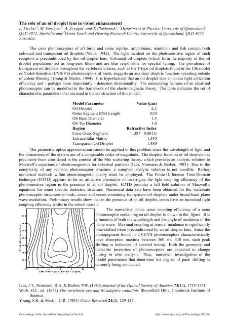 The role of an oil droplet lens in vision enhancement