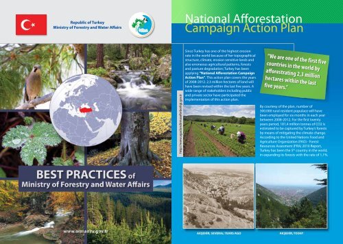 National Afforestation Campaign Action Plan
