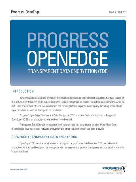 Data Sheet: Progress OpenEdge Transparent Data Encryption (TDE)