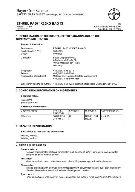 ant identification guide bayer