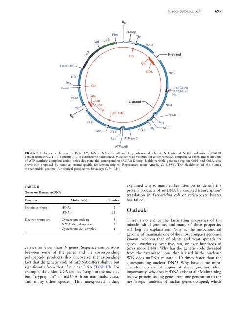 MITOCHONDRIAL DNA 695 FIG