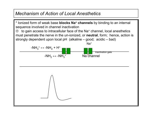 Mechanism