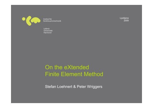On The Extended Finite Element Method
