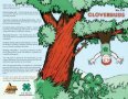 Cloverbud Magazines