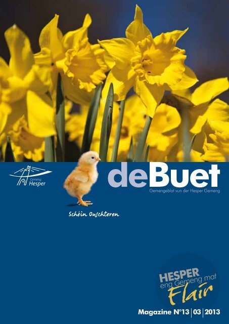 Buet 2013_03 - Hesperange