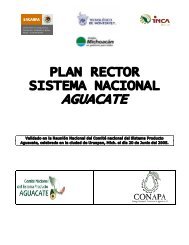 Plan Rector Sistema Producto Nacional Tomate ... - InfoRural.com.mx