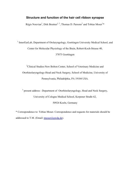 Structure and Function of the Hair Cell Ribbon Synapse. - InnerEarLab