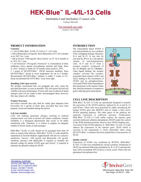 HEK-Blueâ ¢ IL-4/IL-13 Cells - InvivoGen