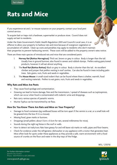 Rats and Mice Fact Sheet (PDF, 438 kb) - Ipswich City Council