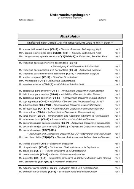 Der Untersuchungsbefund Muskulatur