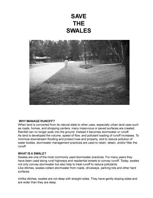 SAVE THE SWALES - Florida Department of Environmental Protection