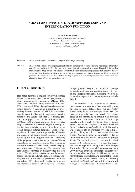 graytone image metamorphosis using 3d interpolation function