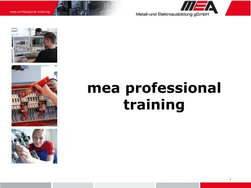 mea professional training