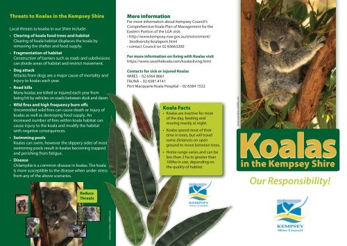 Koalas in the Kempsey Shire brochure (PDF - 583 KB)
