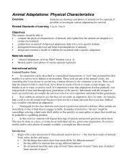 Animal Adaptations Test Review