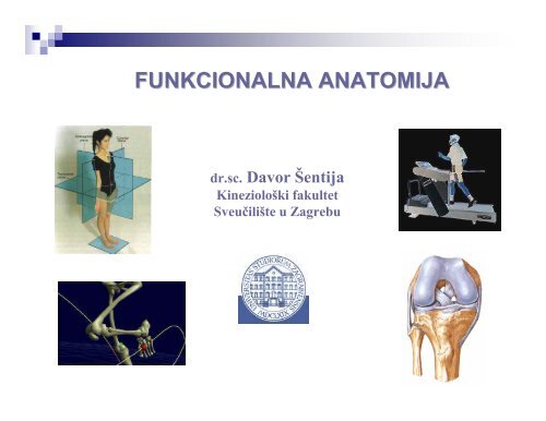 funkcionalna anatomija - Kineziološki fakultet - Sveučilište u Zagrebu