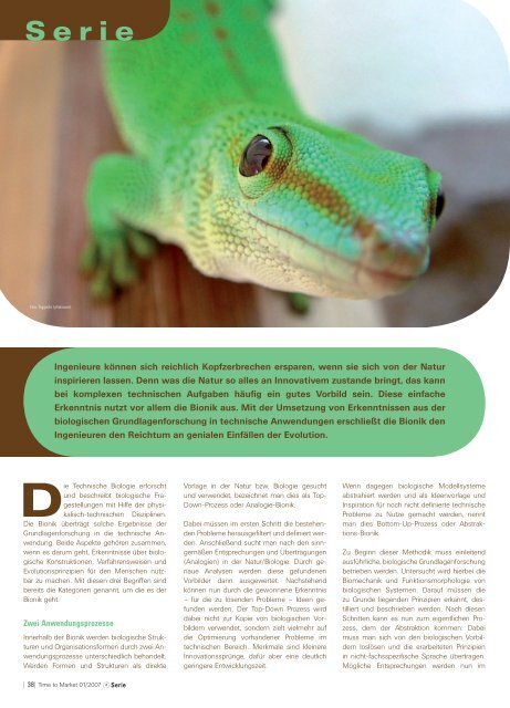 Bionik - Kleben wie ein Gecko