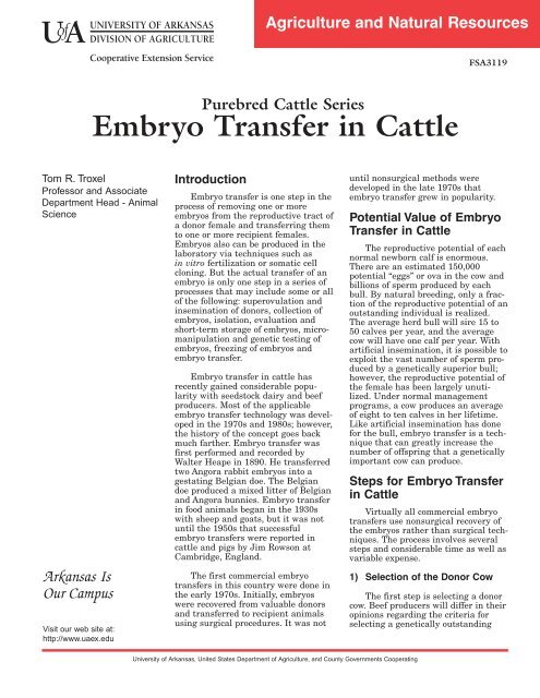 Embryo Transfer in Cattle - The Judging Connection .com