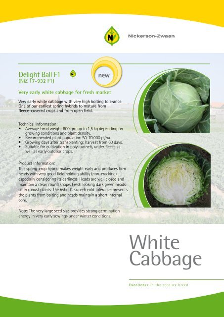 White Cabbage - Product leaflet - Delight Ball - Nickerson-Zwaan