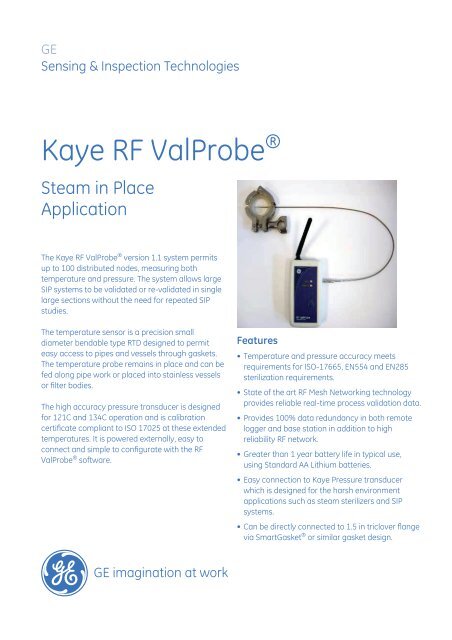 Kaye RF ValProbe
