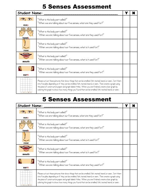 5 Senses Assessment 5 Senses Assessment