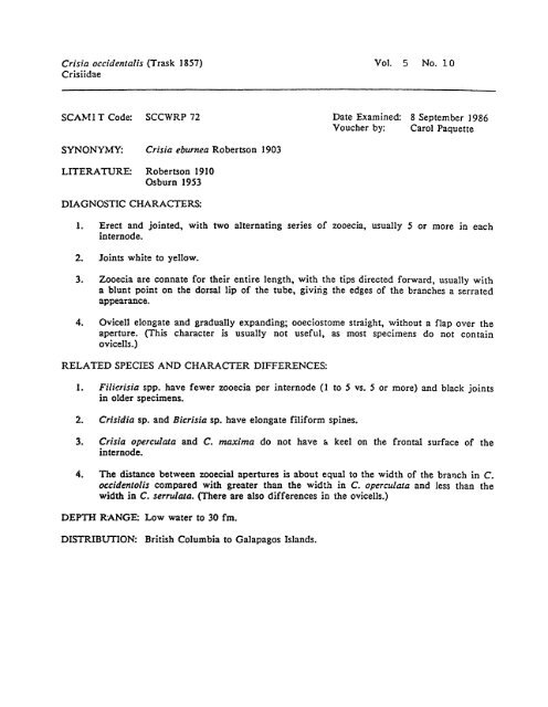 Crisia occidentalis.pdf - scamit