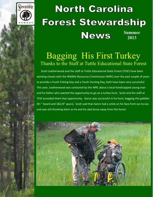 Summer, 2013 - NC Forest Service