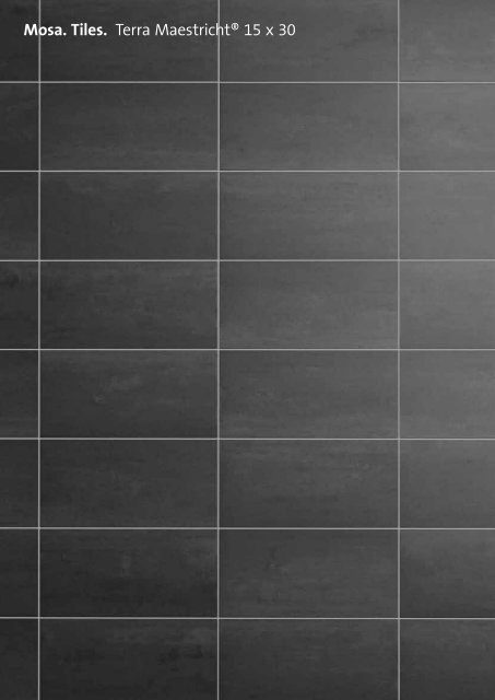 Mosa. Tiles. Terra MaestrichtÃ‚Â® 15 x 30